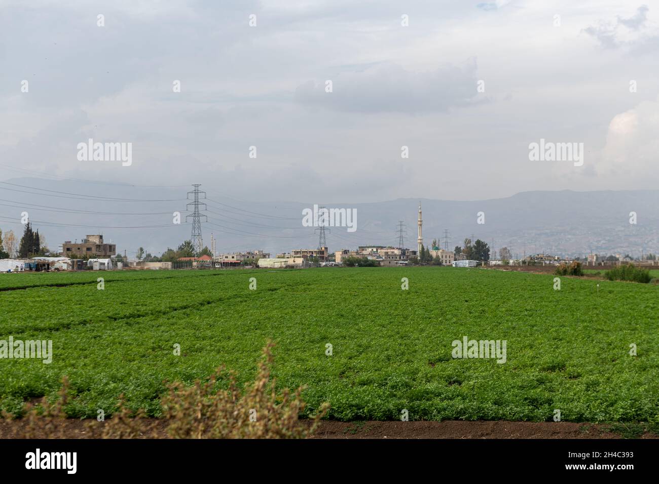 Bekaa valley fields hi-res stock photography and images - Alamy