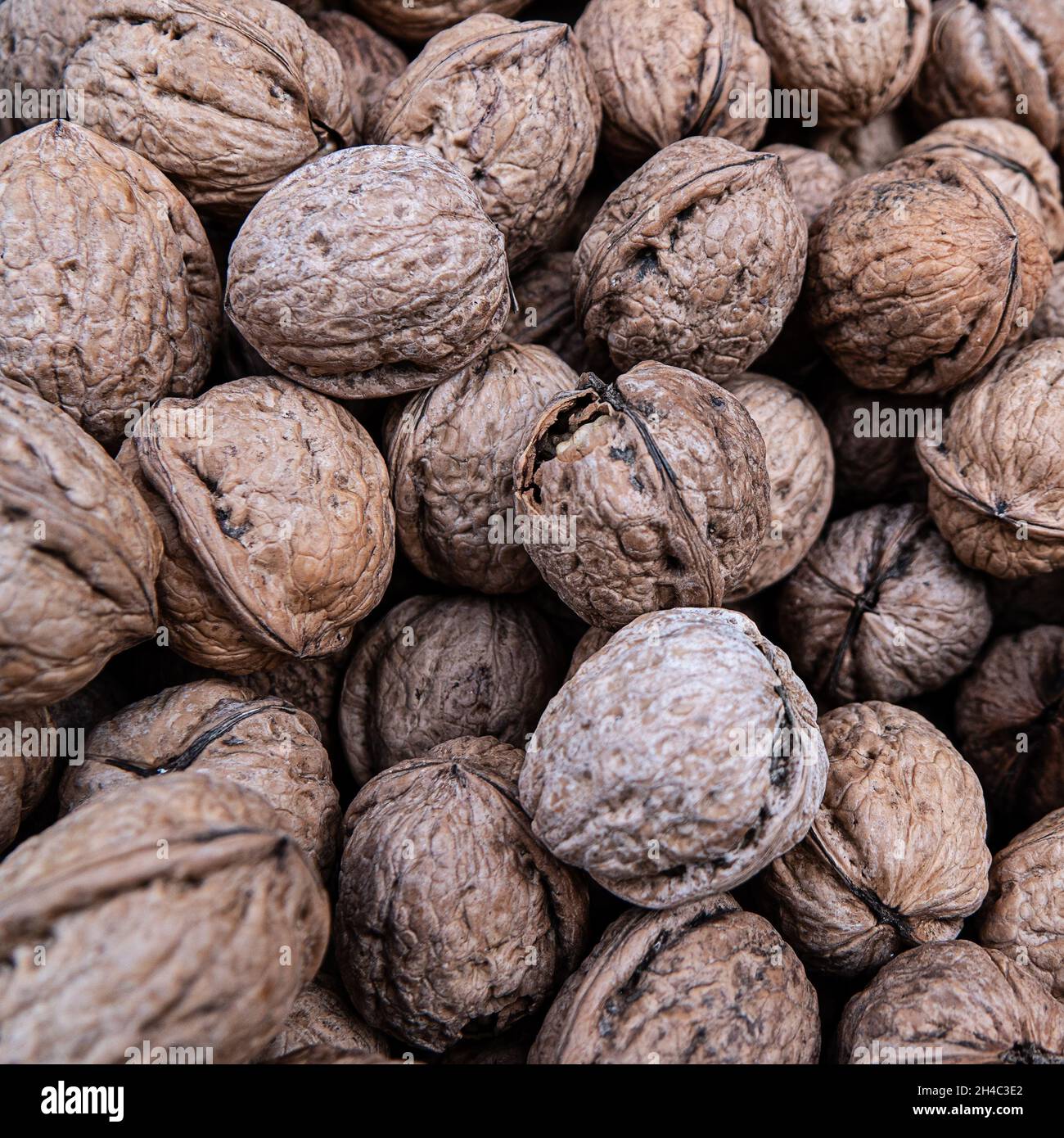 Walnuts whole hi-res stock photography and images - Alamy