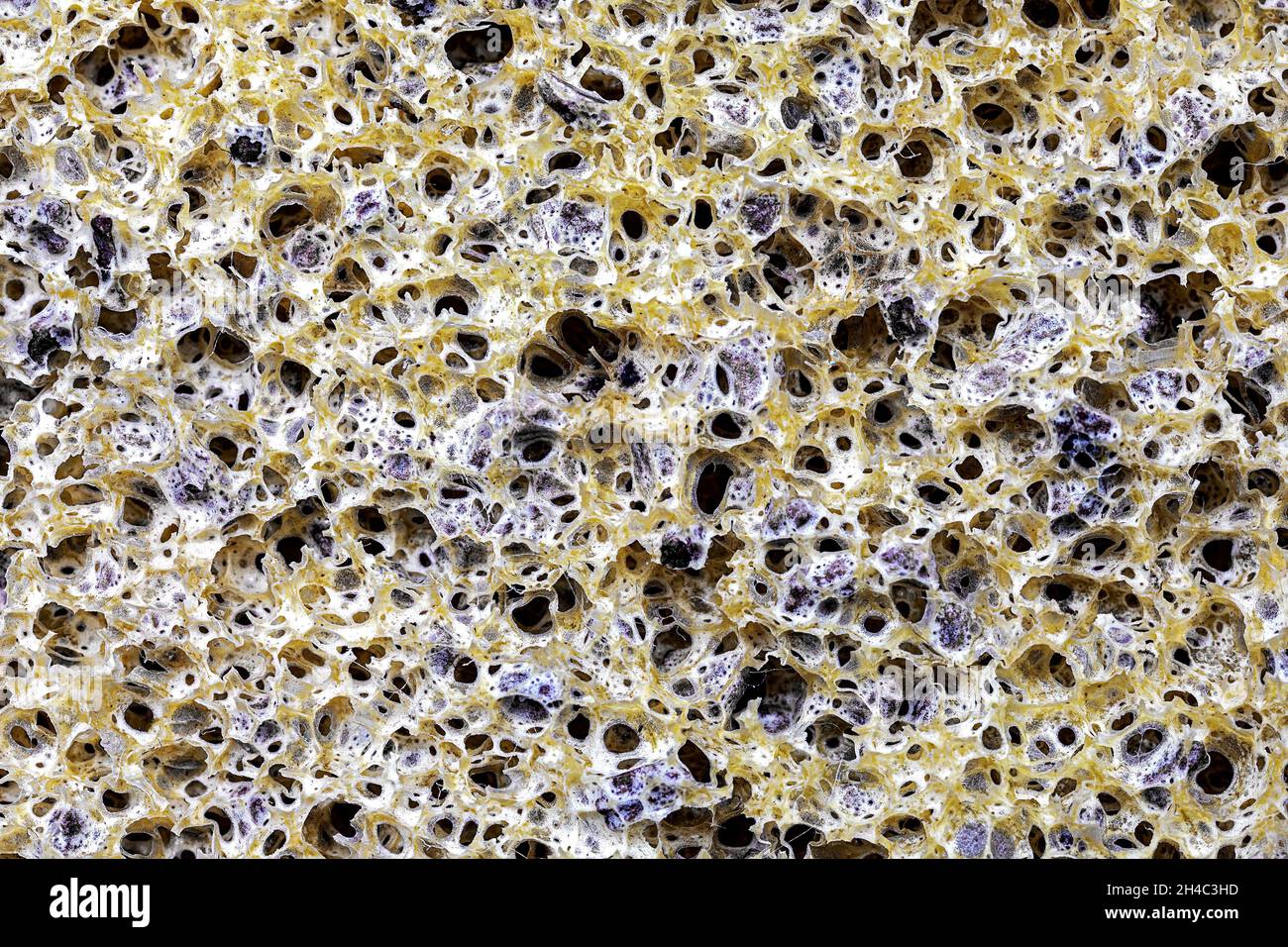 Detailed skin surface hi-res stock photography and images - Alamy