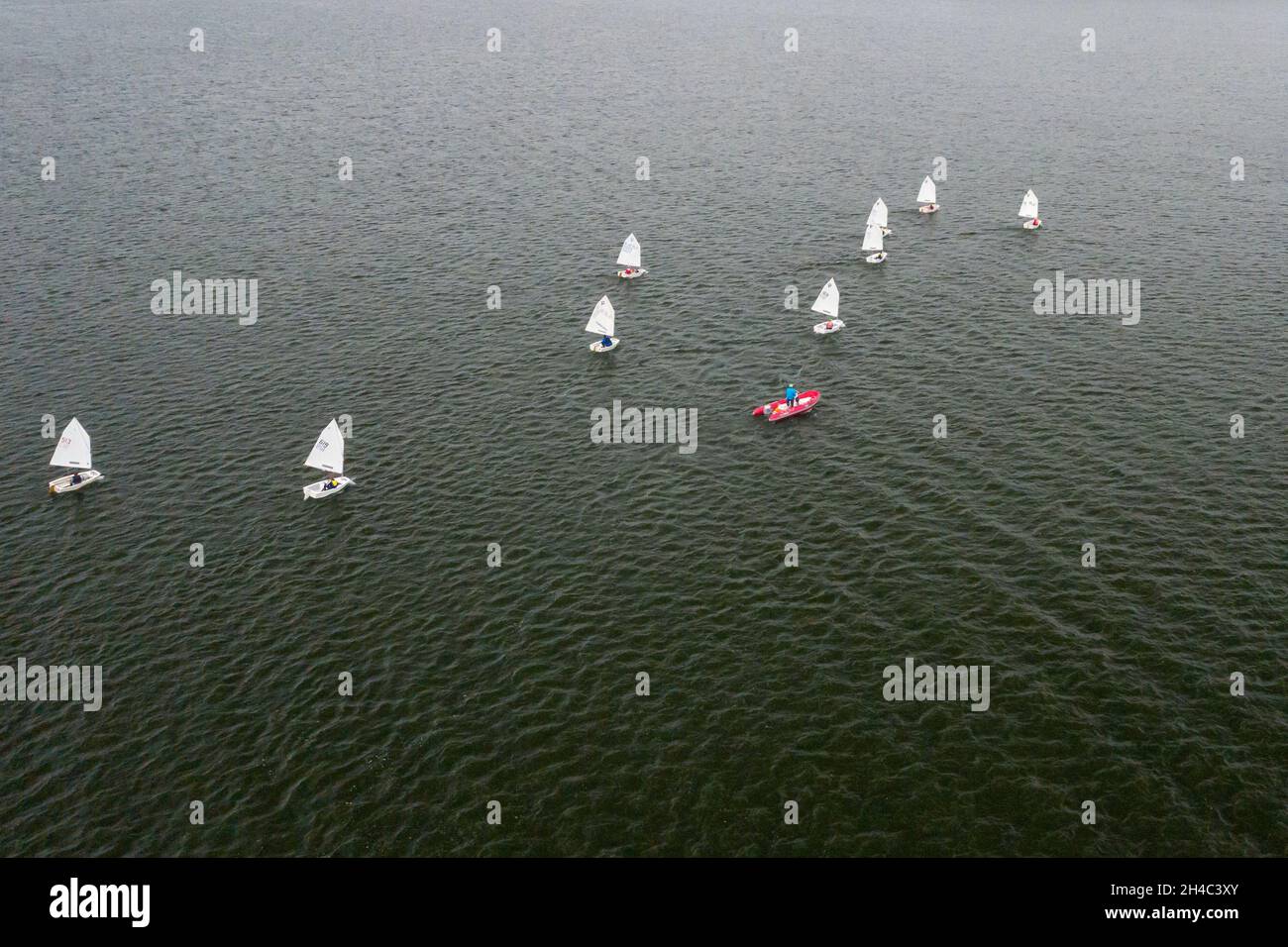 Sailing regatta on the sea. many white sails float on the water Stock ...