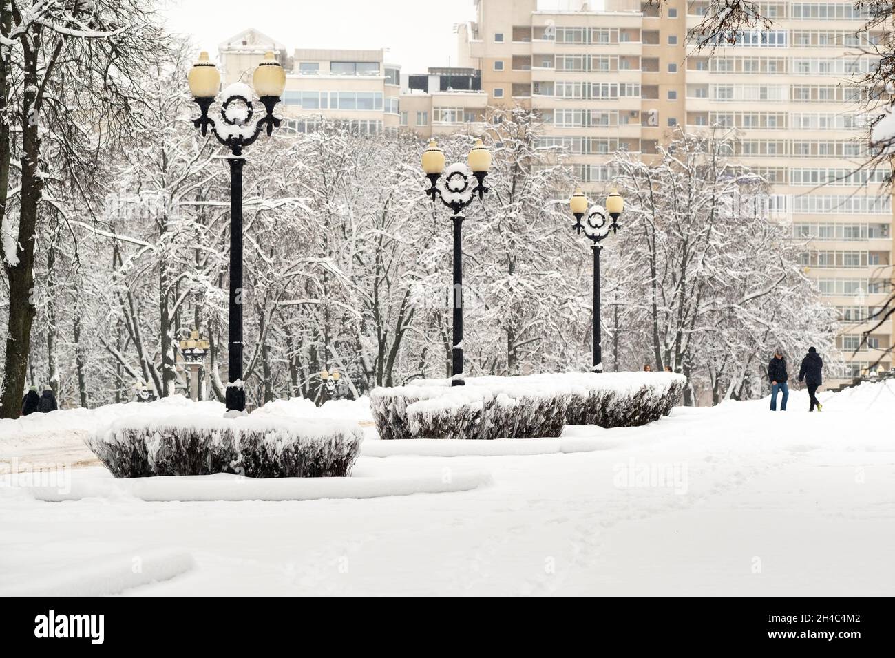 Snow-covered park in the center of Minsk. Belarus Stock Photo - Alamy