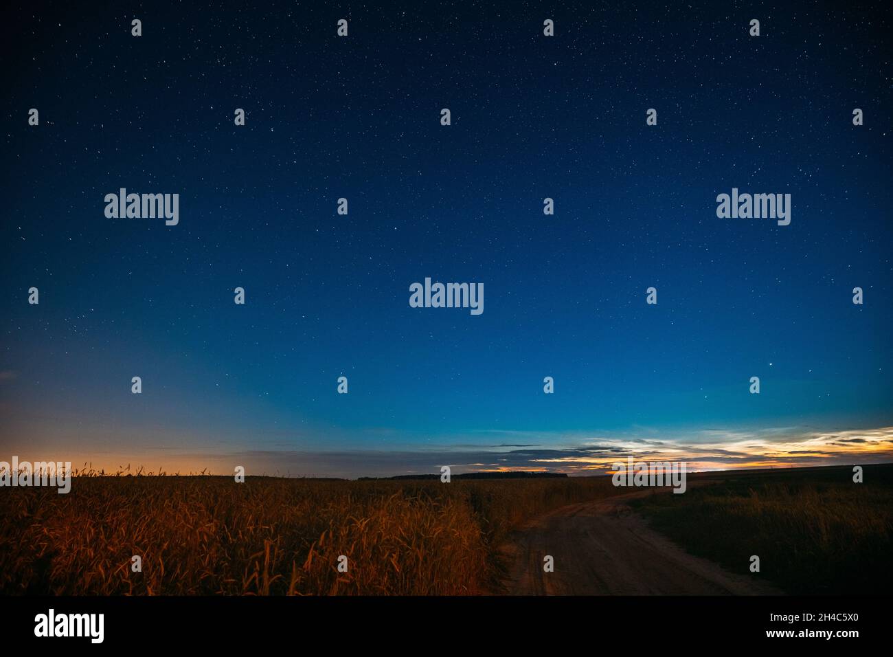 Night Starry Sky With Glowing Stars Above Countryside Landscape. Light ...