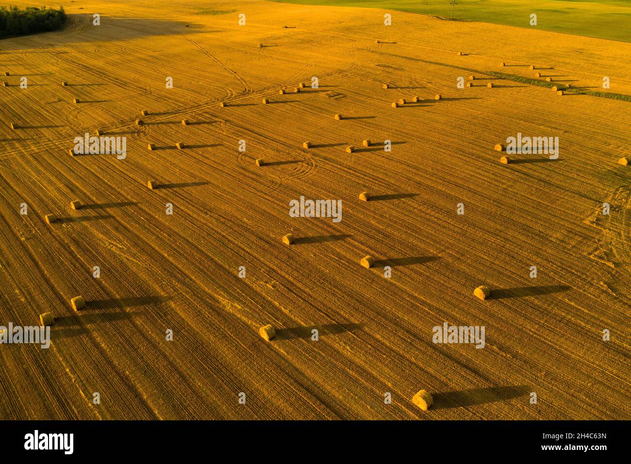 Straw bales on farmland with a blue cloudy sky.Harvested field with ...