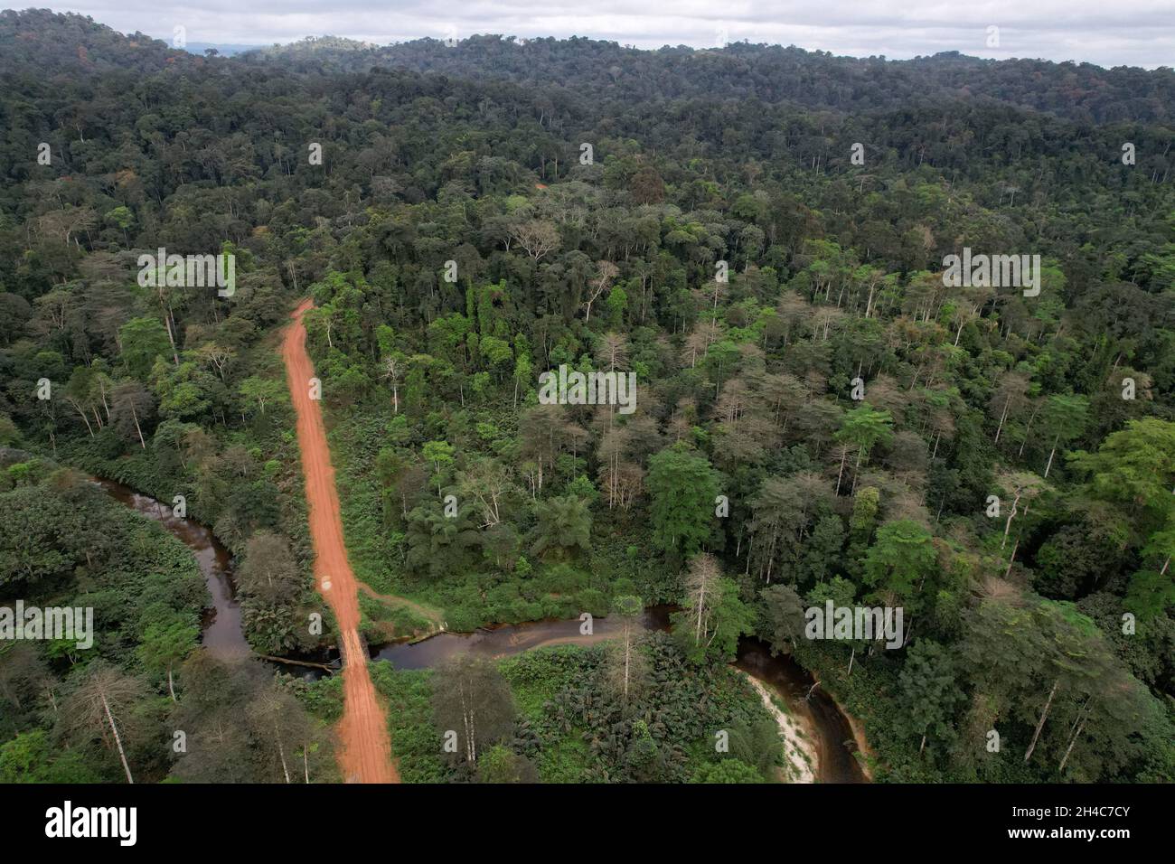 Gabon rainforest aerial hi-res stock photography and images - Alamy