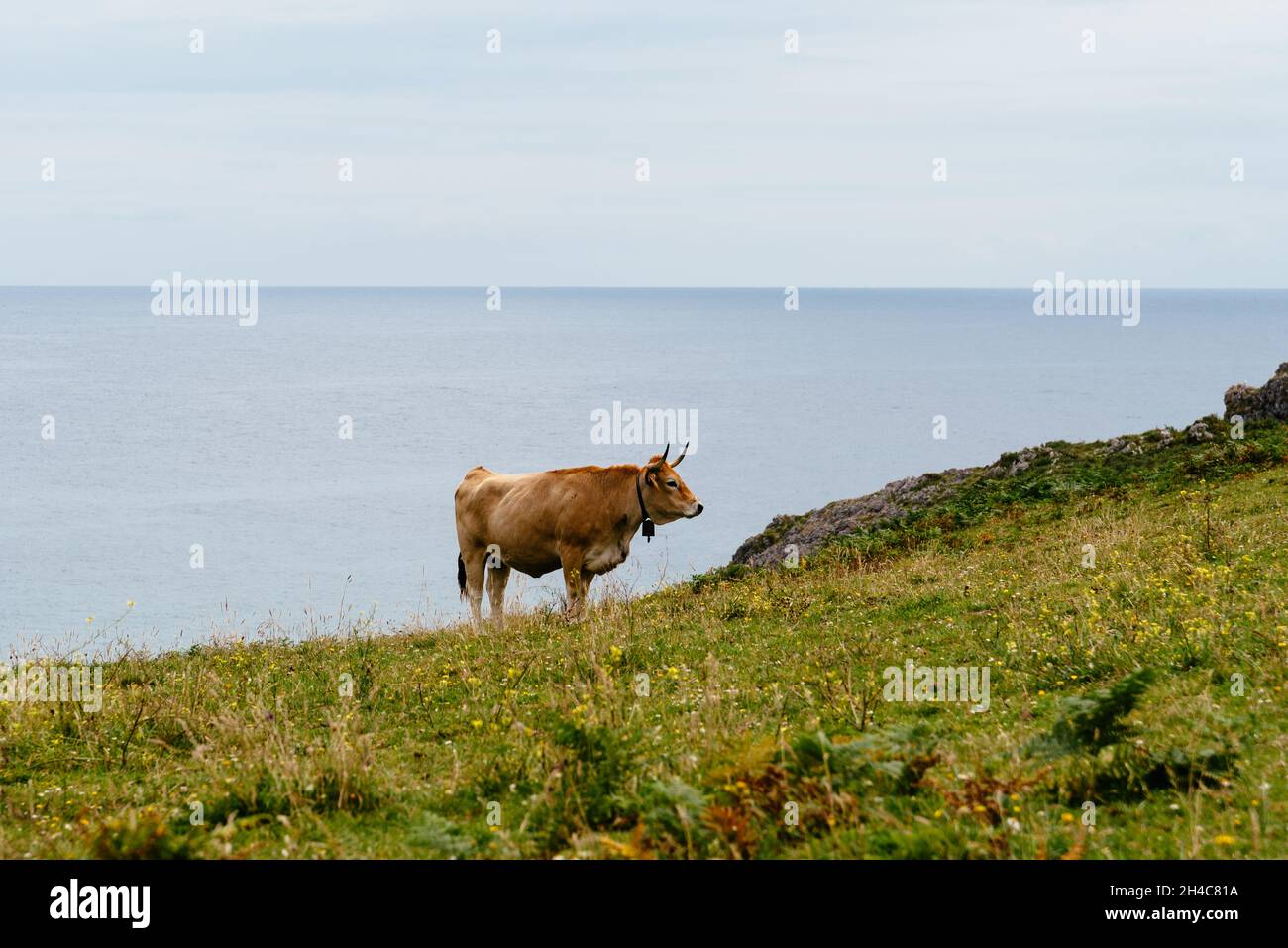 Asturian valley hi-res stock photography and images - Alamy