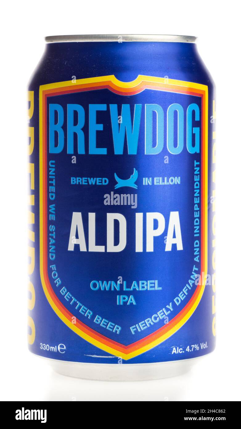 Can of Scottish Brewdog Ald IPA beer isolated on a white background ...