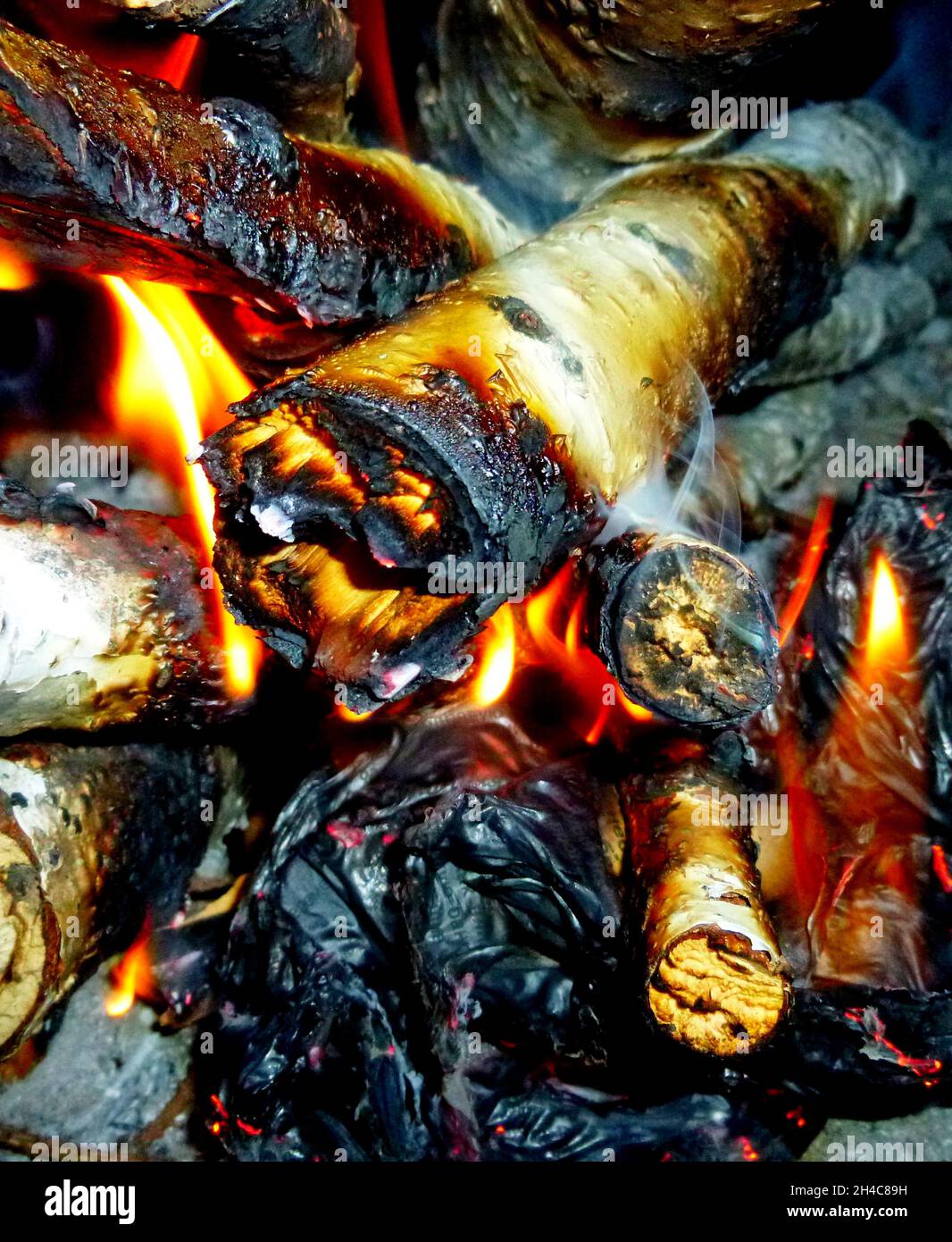 Fire burning dry tree branches hi-res stock photography and images - Alamy
