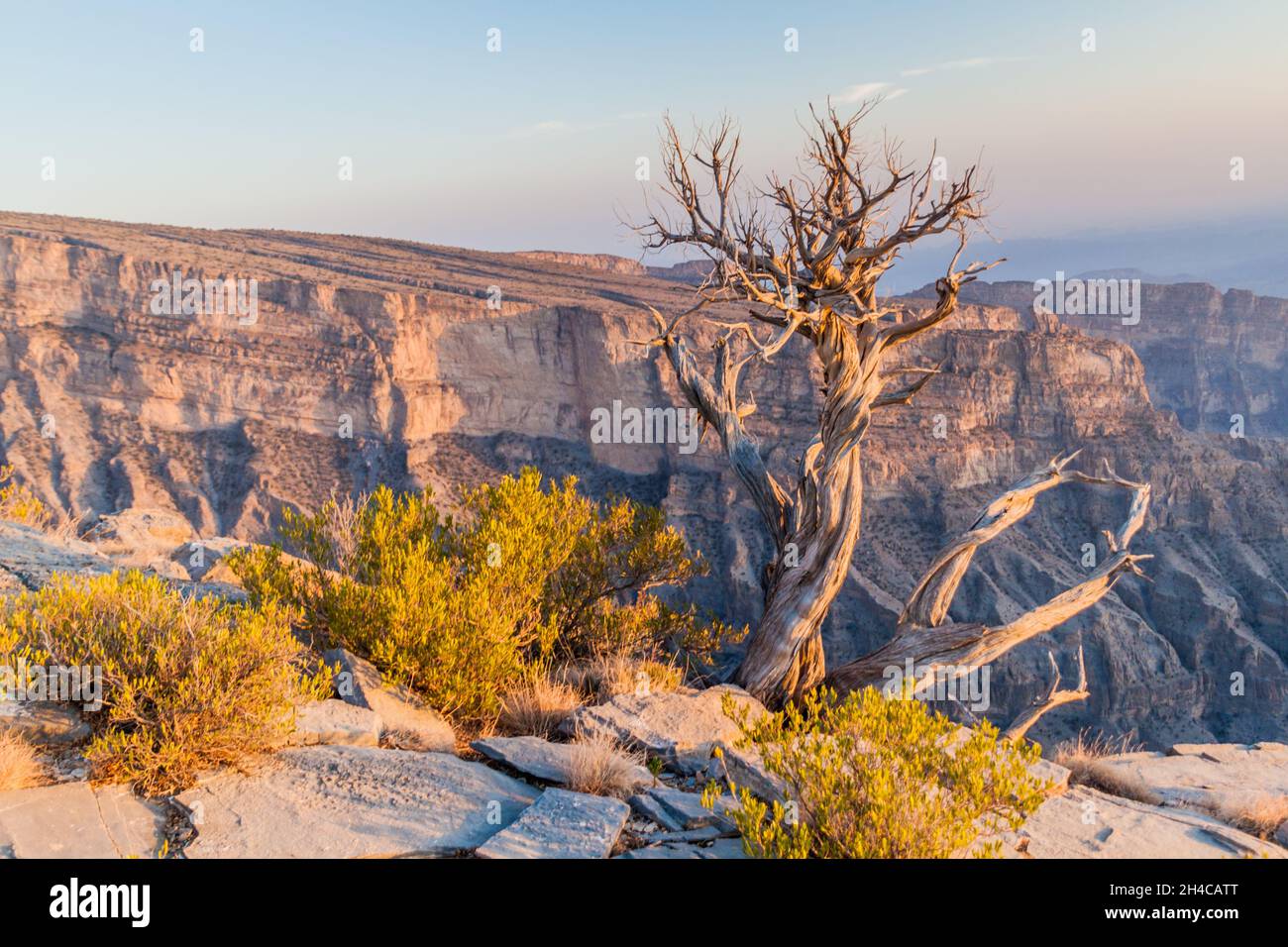 Wadi Ghul canyon in Hajar Mountains, Oman Stock Photo - Alamy