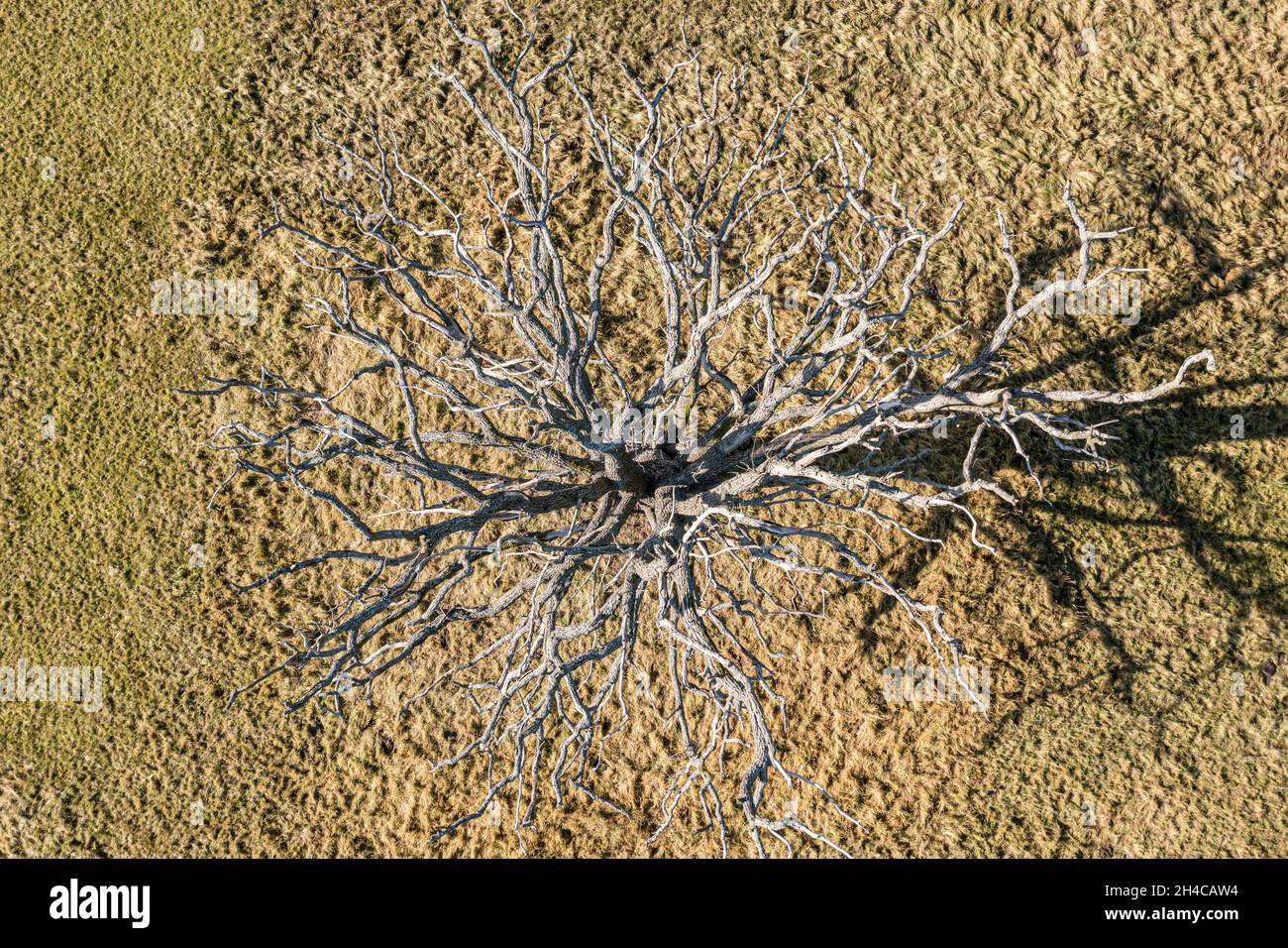 Trees and riverbank and aerial hi-res stock photography and images - Alamy