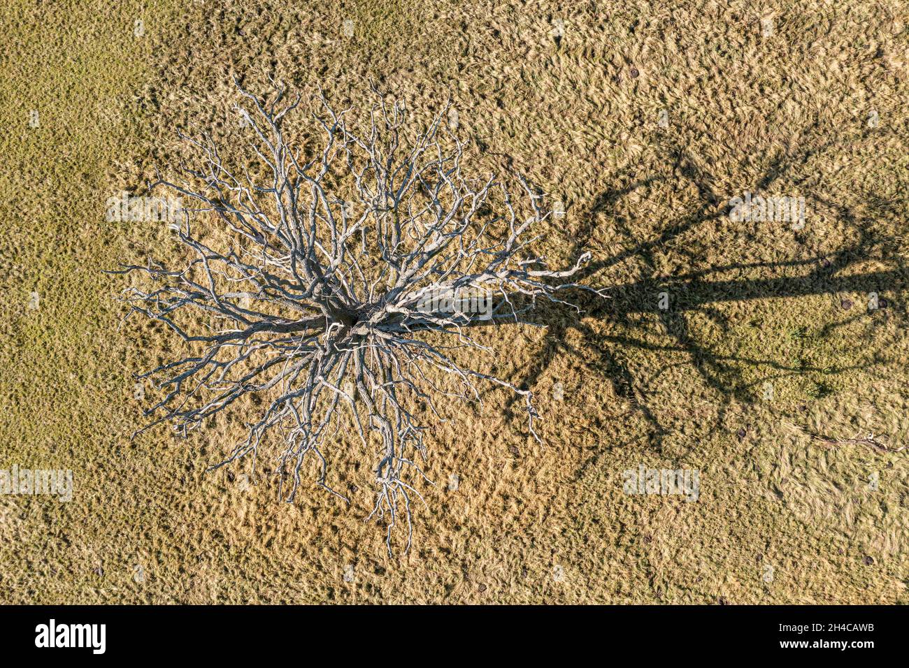 Trees and riverbank and aerial hi-res stock photography and images - Alamy