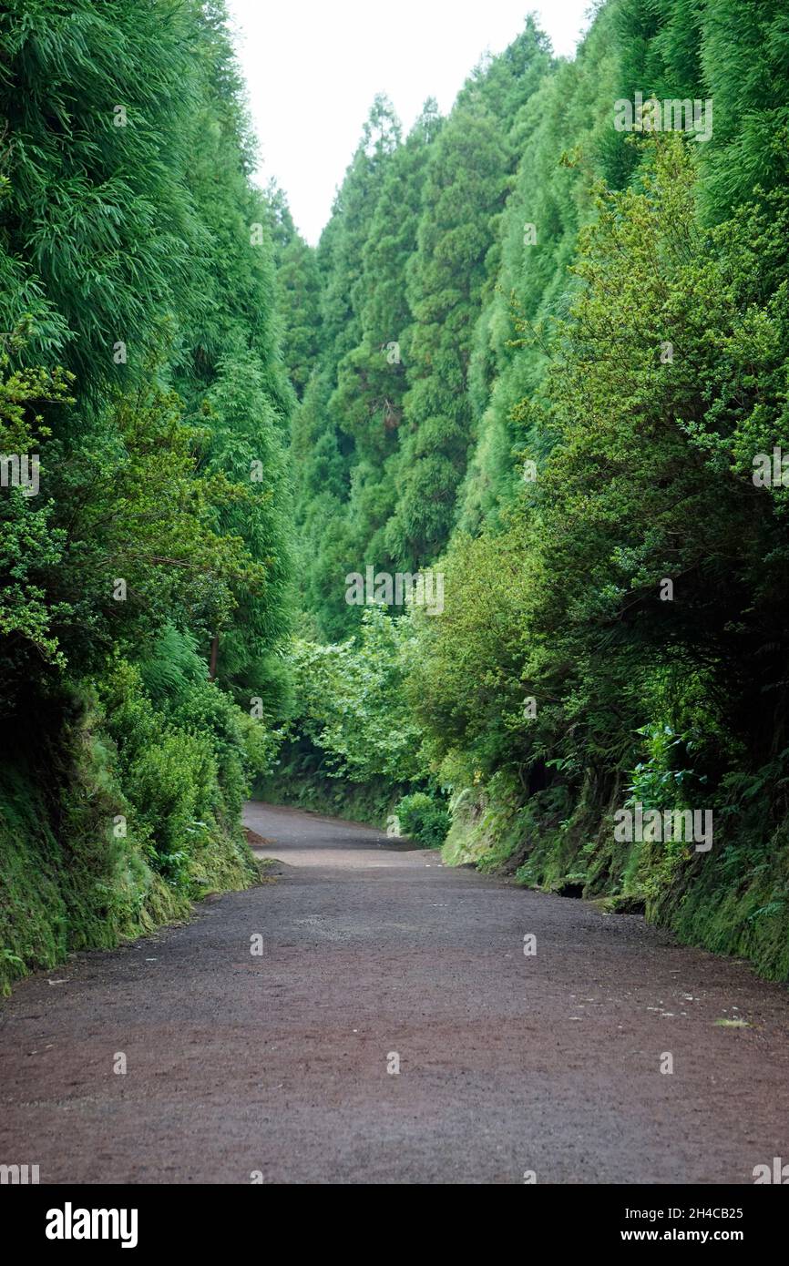 hiking trail at cidade lakes at the azores islands Stock Photo - Alamy
