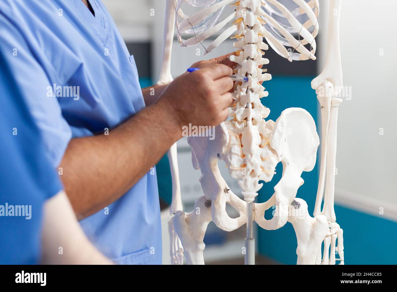 Close up of nurse showing spine bones on human skeleton for diagnosis ...