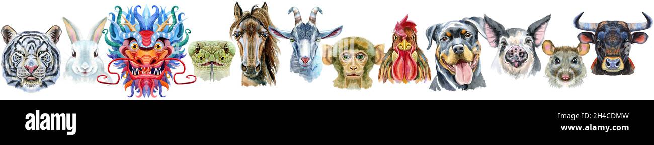 Colorful astrology set with drawings of twelve chinese zodiac animals ...