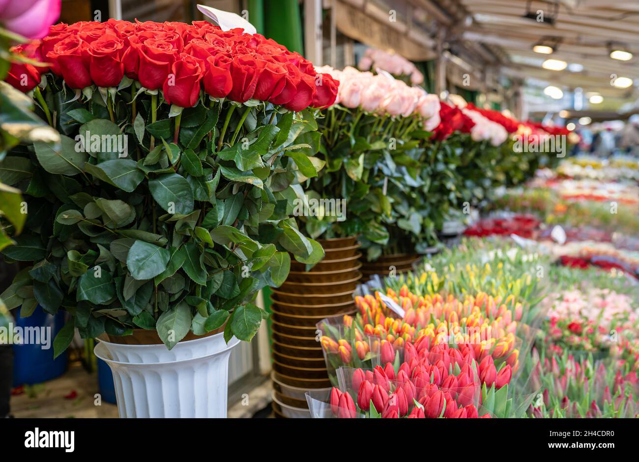 Flower shop with bouquets of various fresh tulips and roses for sale ...