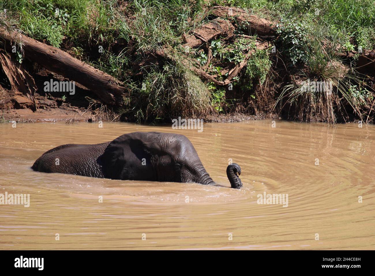 Mphongolo river hi-res stock photography and images - Alamy
