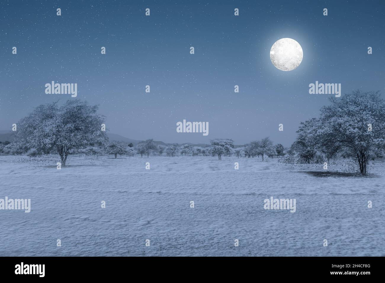 Snowfield detail hi-res stock photography and images - Alamy