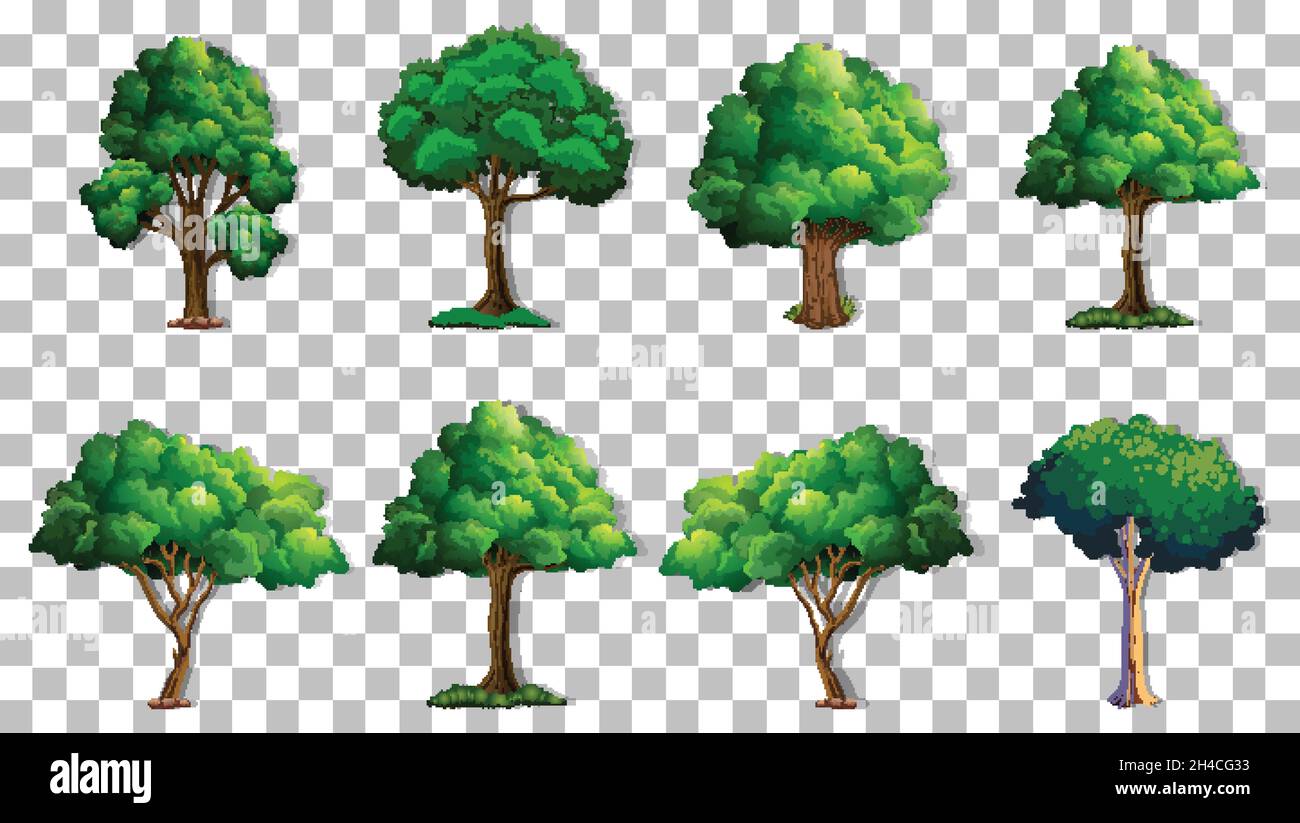 Set of variety trees on transparent background illustration Stock ...