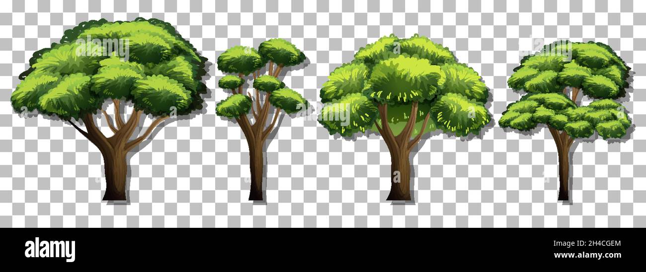 Set of various trees on transparent background illustration Stock ...
