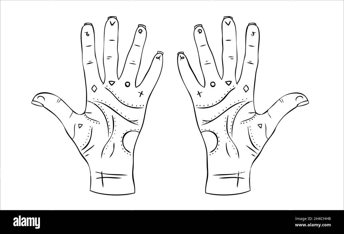 Hand reading is a concept of palmistry. Hand with signs vector ...
