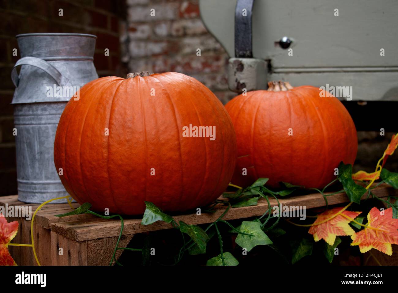 Standout display hi-res stock photography and images - Alamy