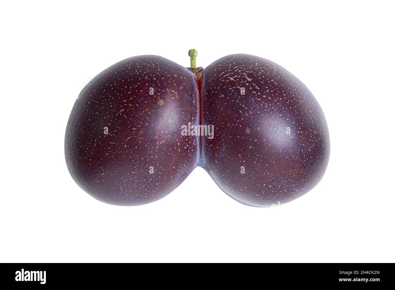 Growth defect Cut Out Stock Images & Pictures - Alamy