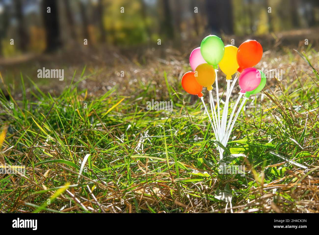 Colorful toy balloons sticking out of the ground in the forest Stock ...