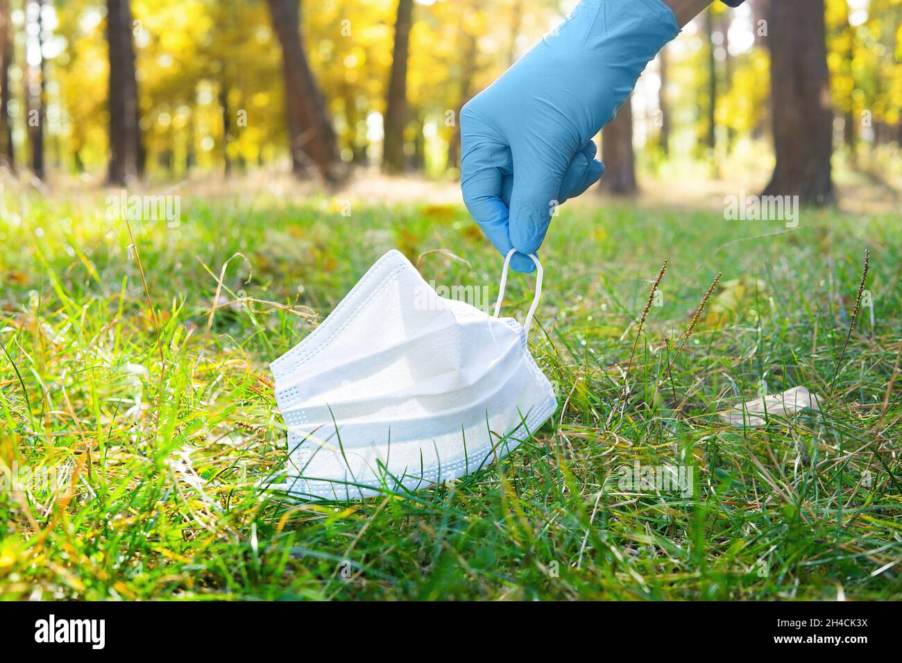 Collecting a used disposable face mask in the city park. Discarded ...
