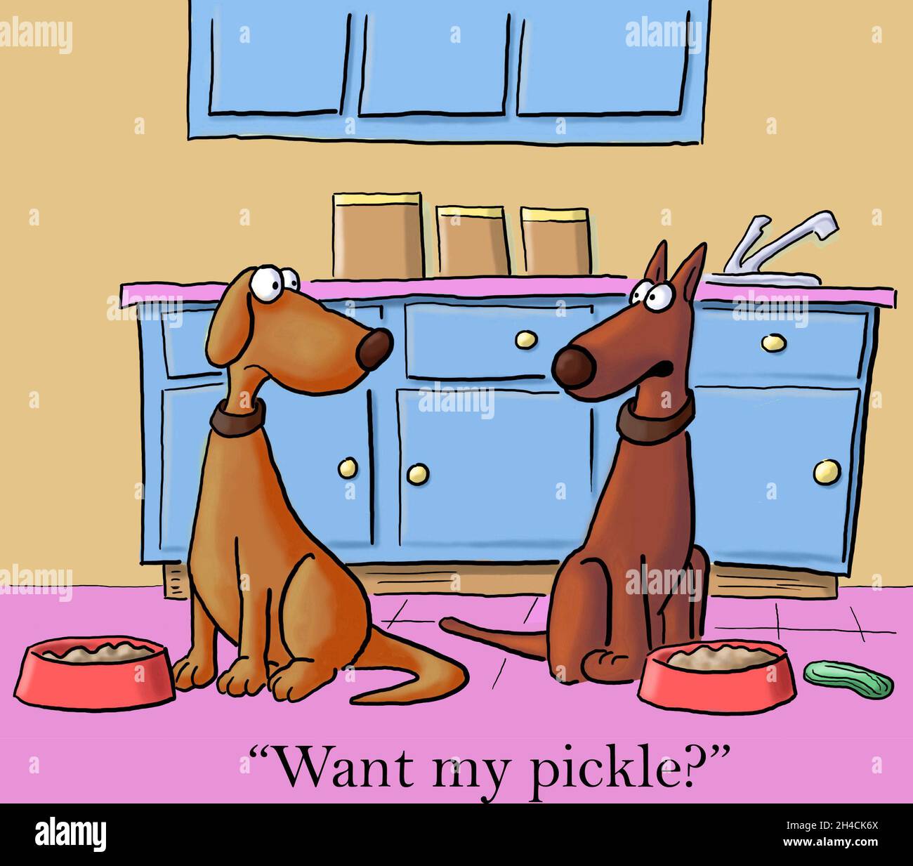 Dog has come to enjoy the pickle Stock Photo - Alamy