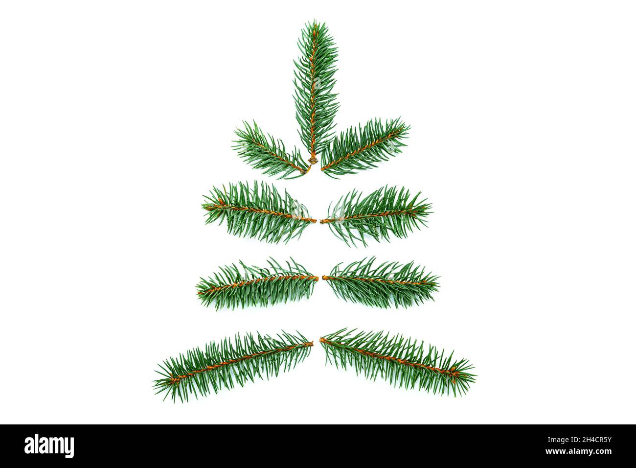 Fir branches laid out in the shape of a Christmas tree. The symbol of ...