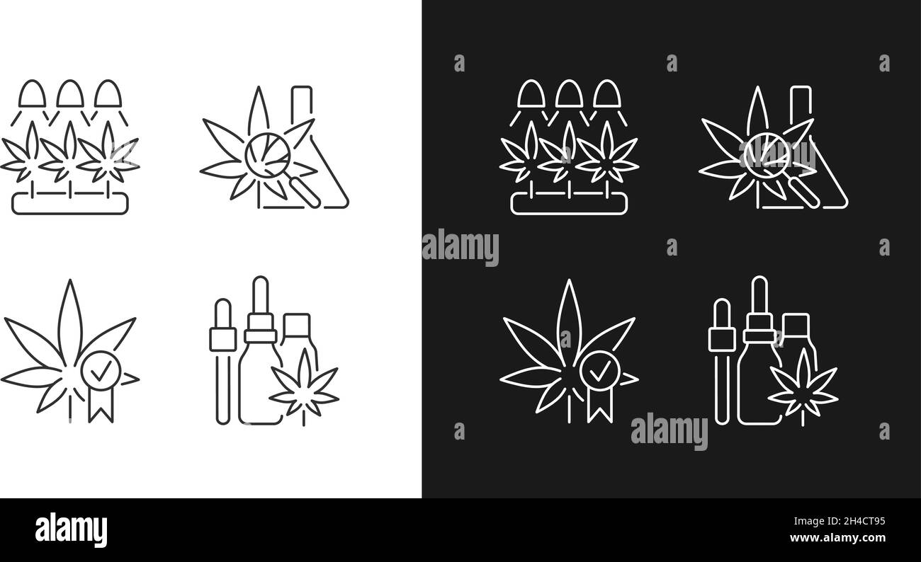 Hemp growing Black and White Stock Photos & Images - Alamy