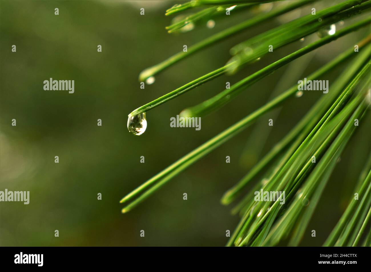 Art rain drop hi-res stock photography and images - Alamy