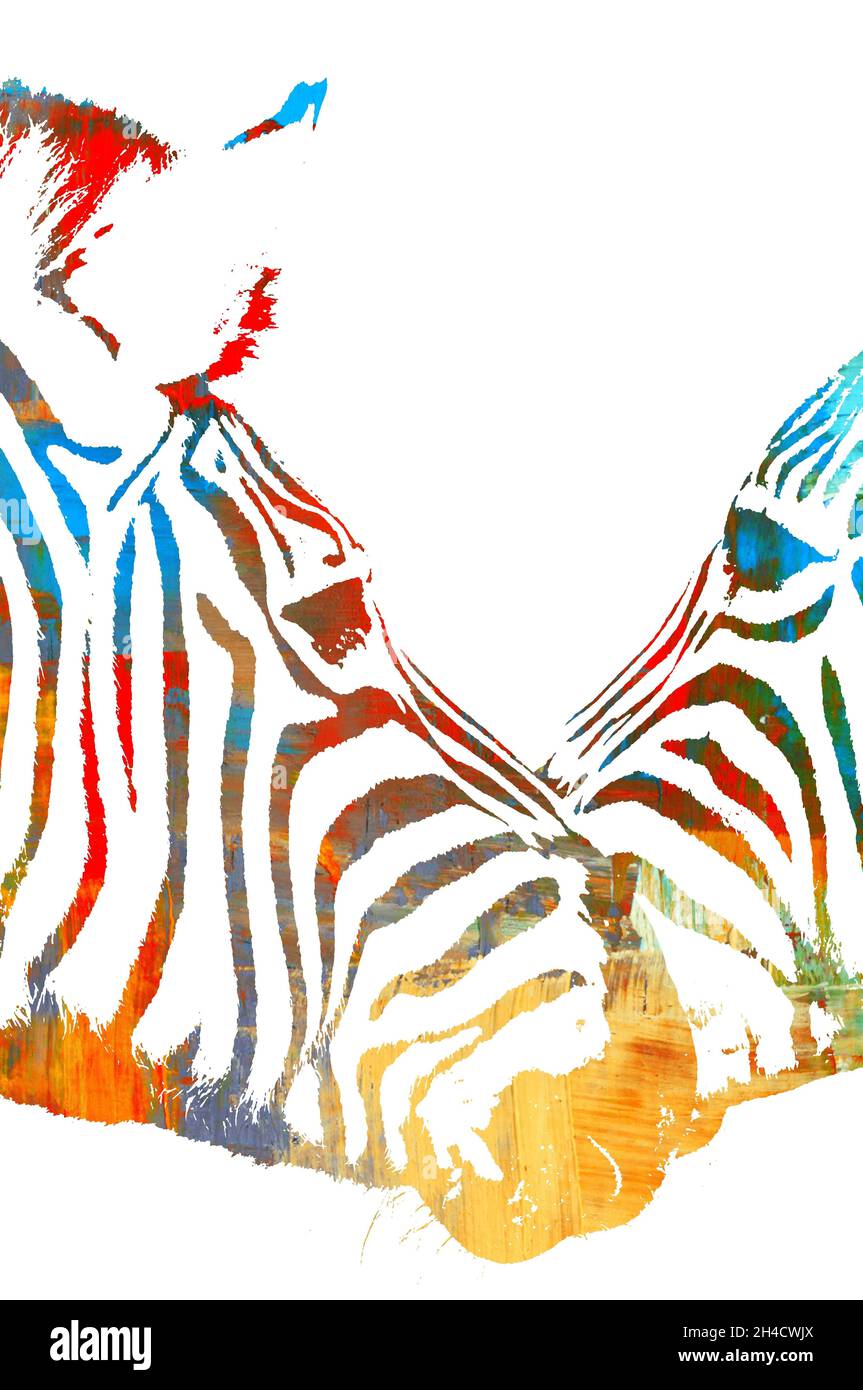 Portrait of two Zebras Stock Photo - Alamy