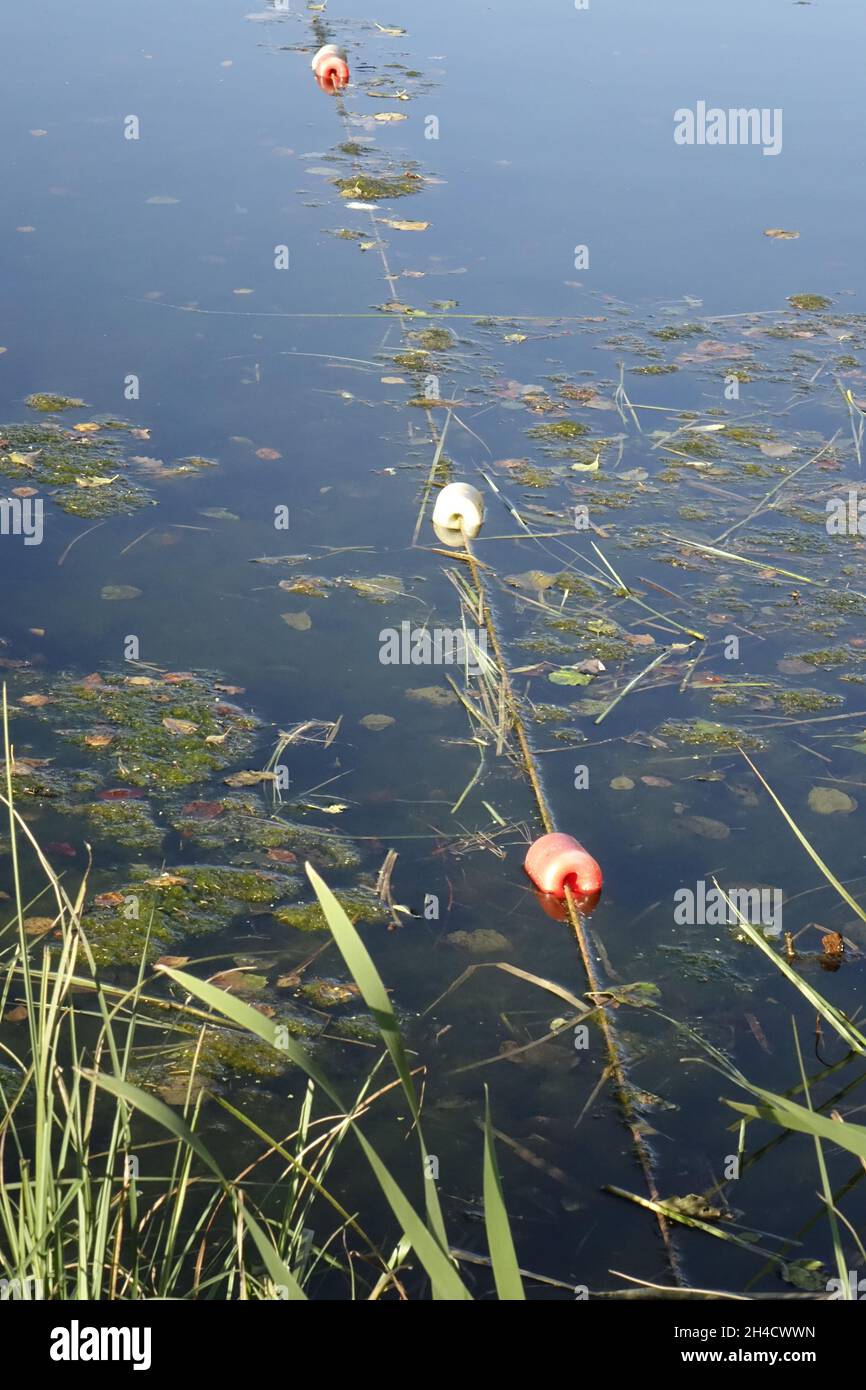 The floaters band hi-res stock photography and images - Alamy