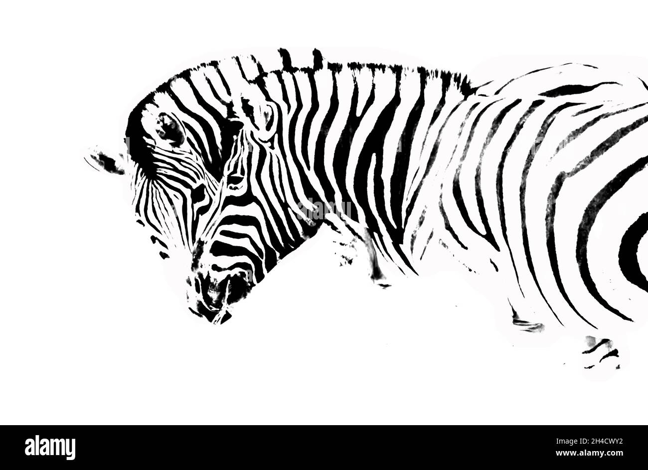 Animals friends wild hi-res stock photography and images - Alamy