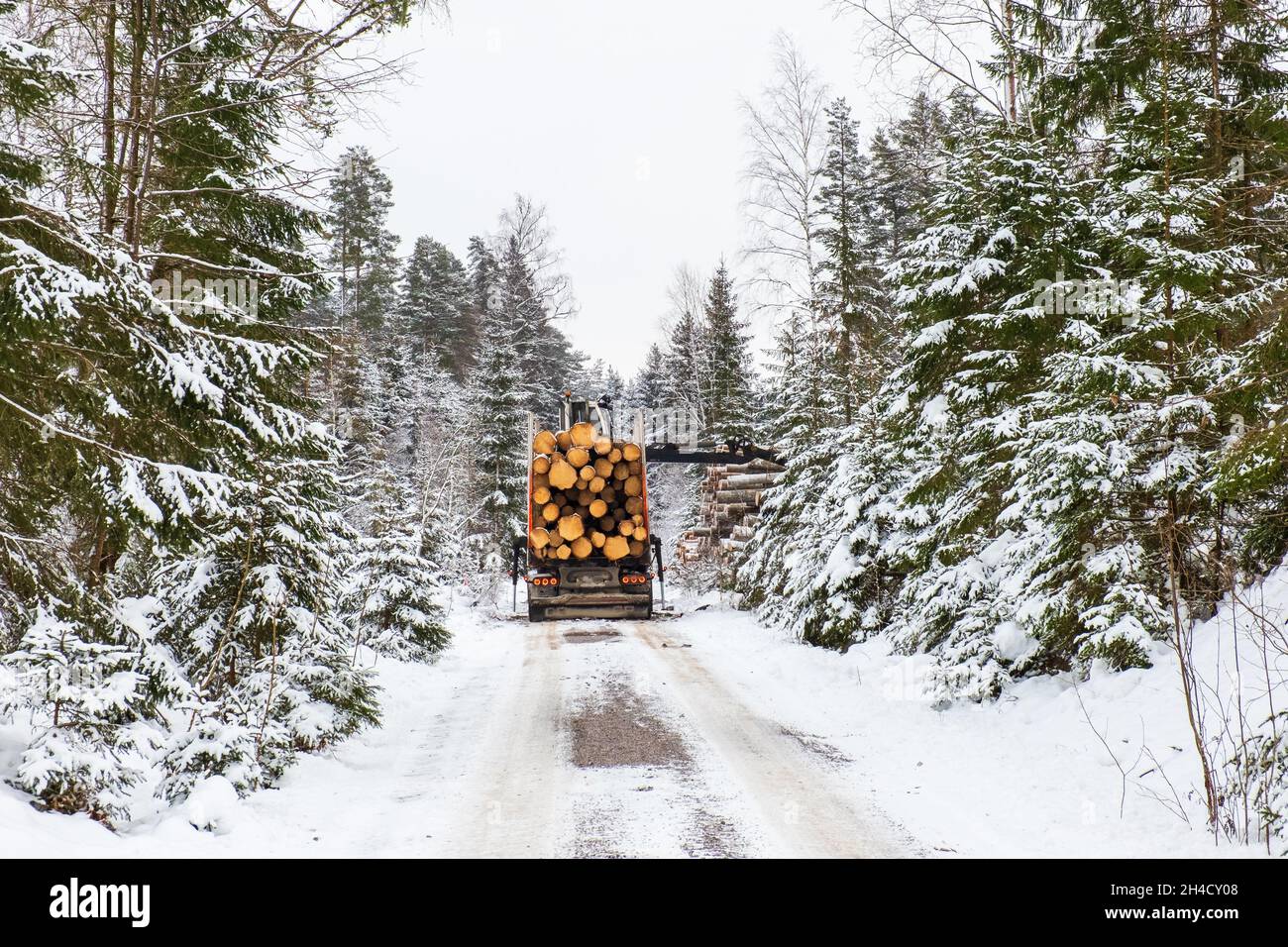 Logging truck loads timber in a winter forest Stock Photo - Alamy