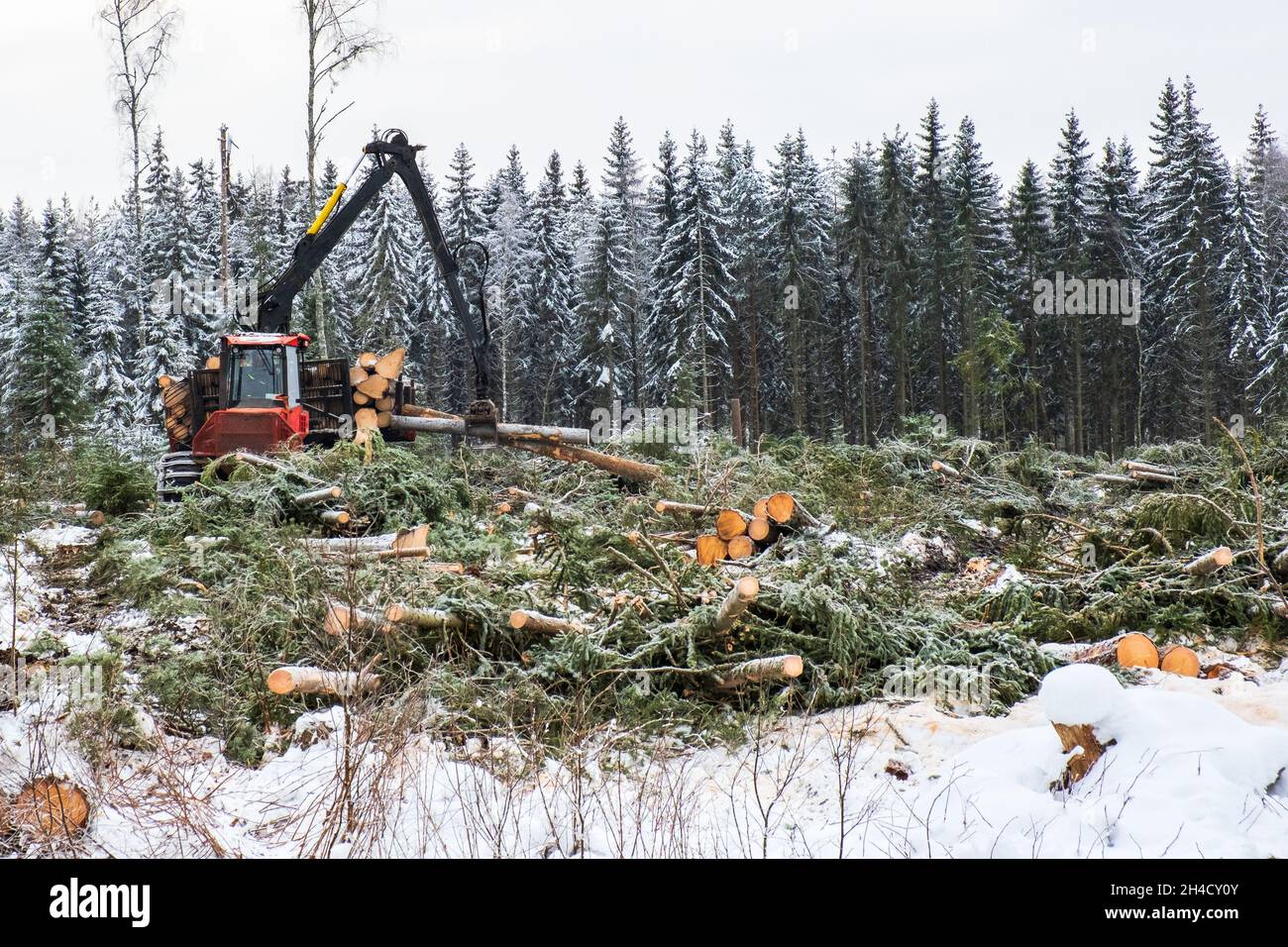 Forwarder forestry machine hi-res stock photography and images - Alamy