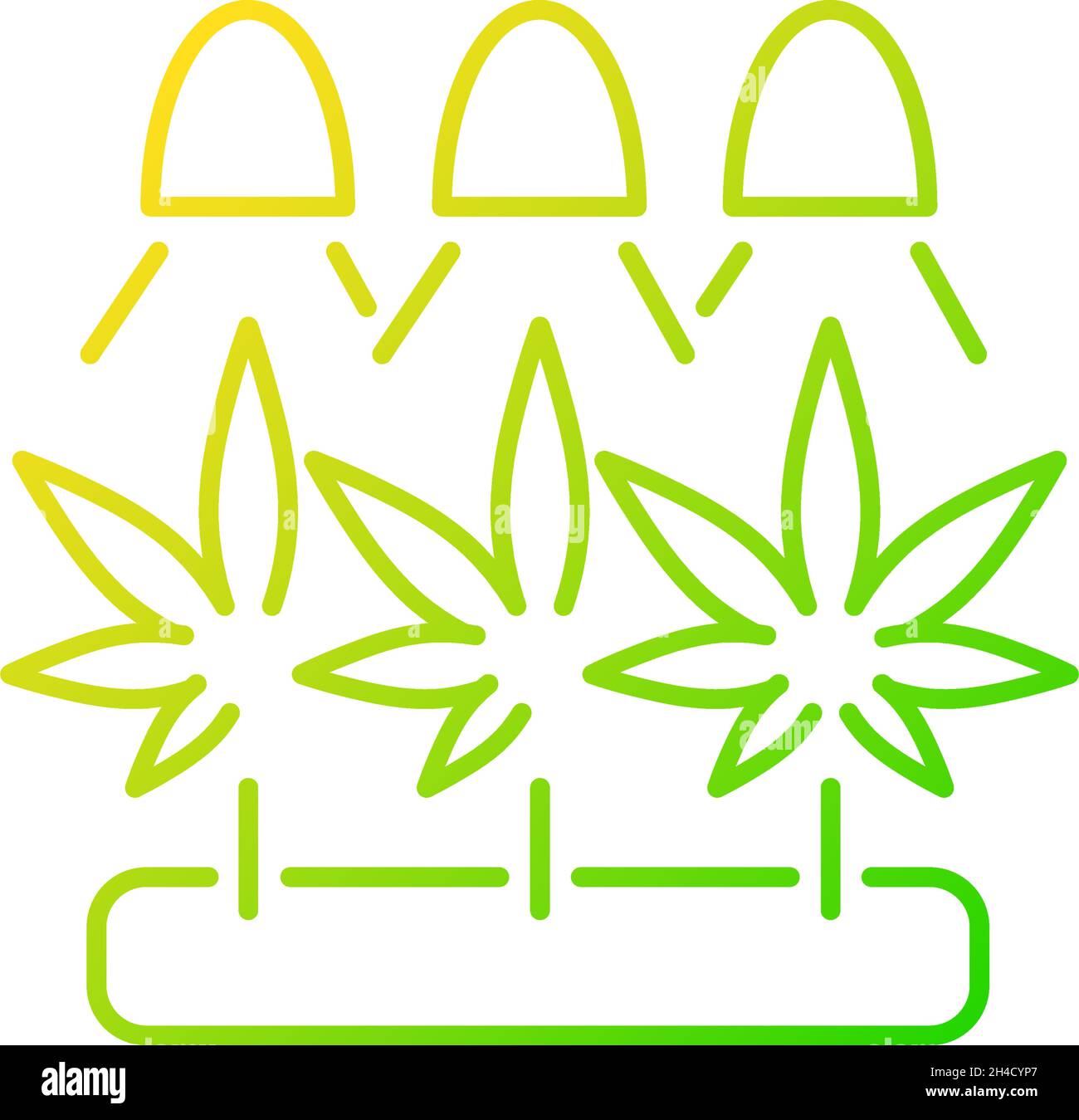 Cannabis cultivation gradient linear vector icon Stock Vector Image ... Cannabis cultivation gradient linear vector icon Stock Vector Image ...