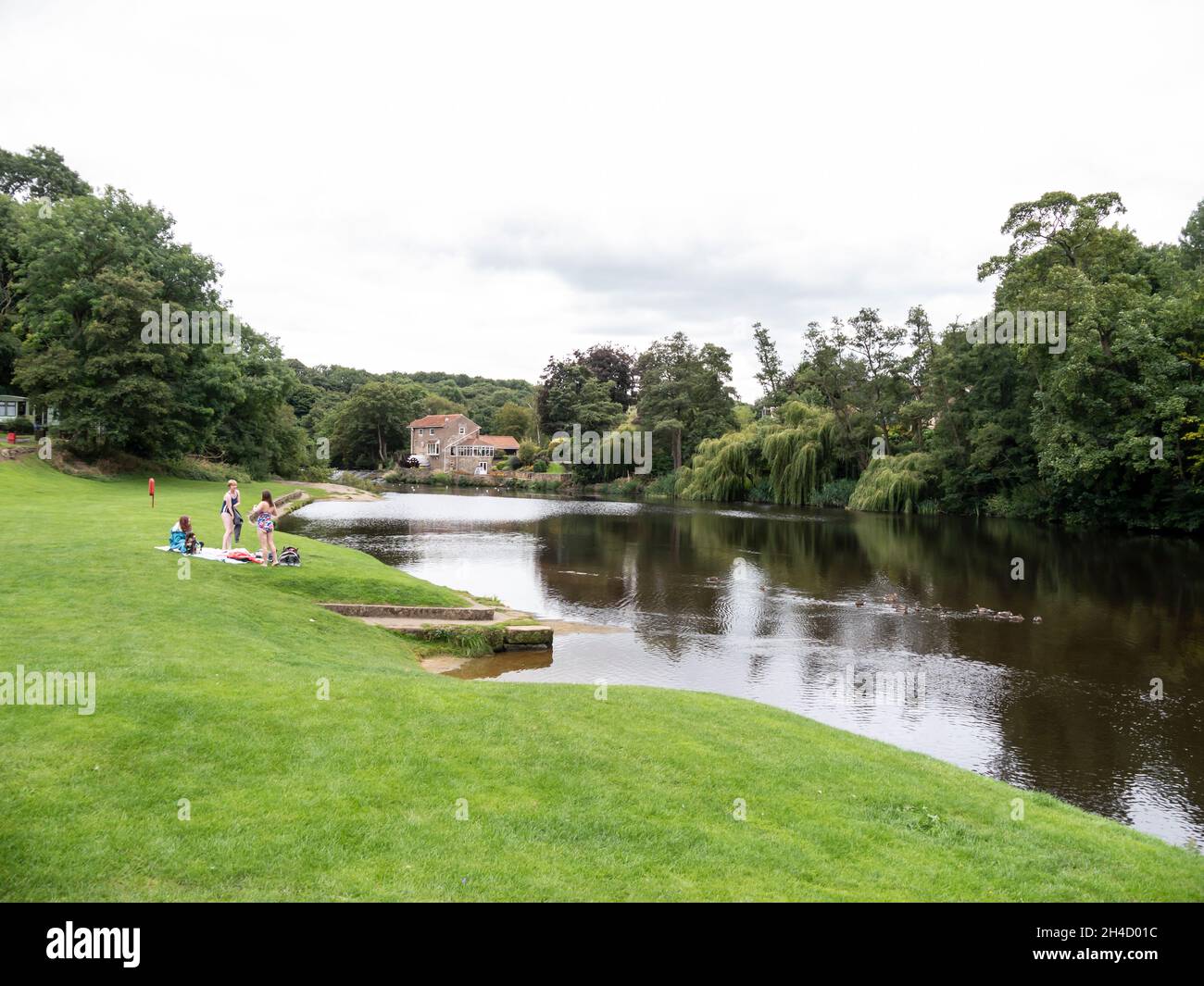 River Nidd waterside walk Knaresborough Yorkshire Stock Photo - Alamy