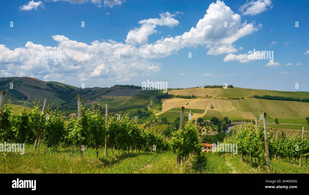 Country landscape on the hills in the Ravenna province, Emilia-Romagna ...