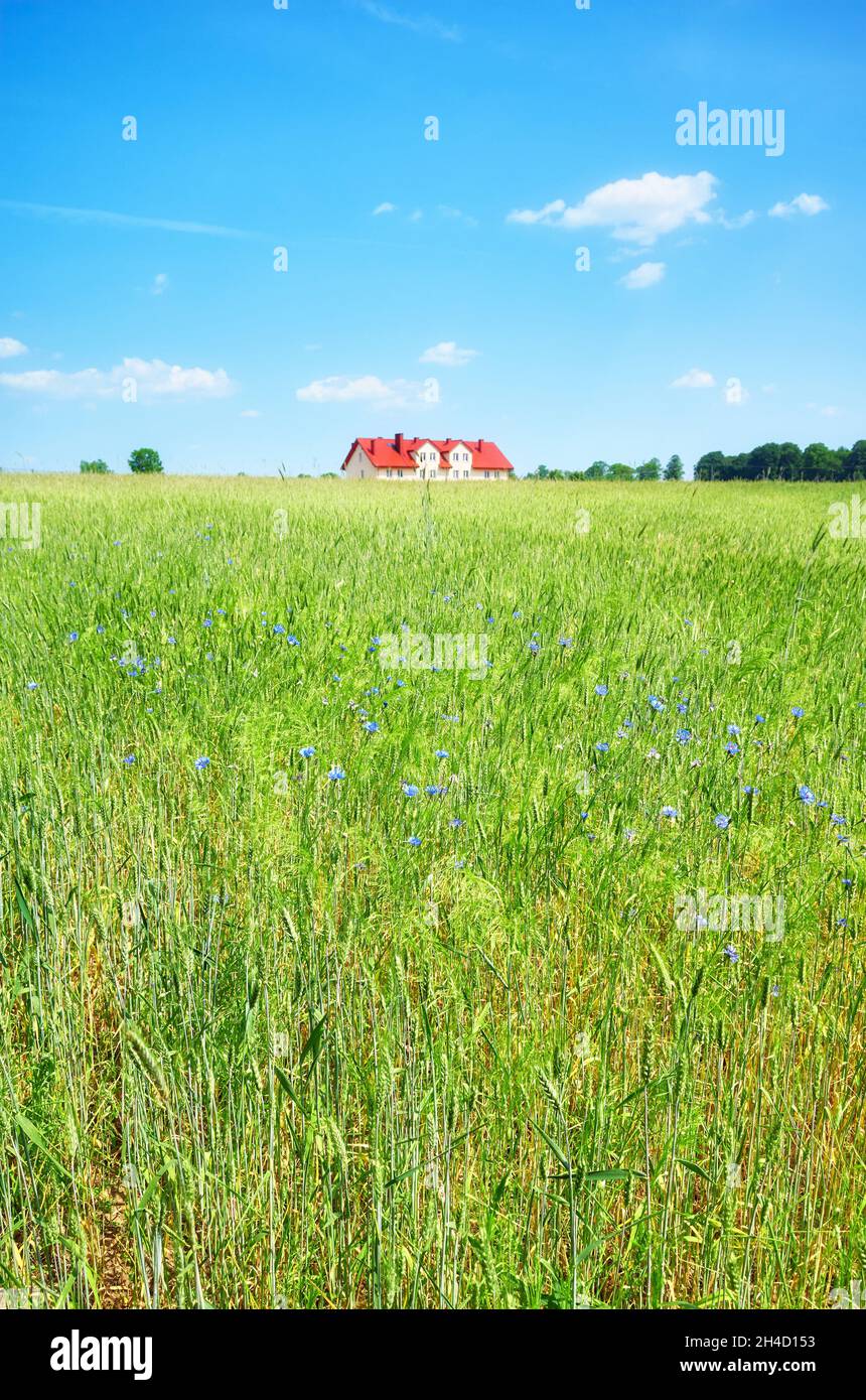 Summer farm house hi-res stock photography and images - Alamy