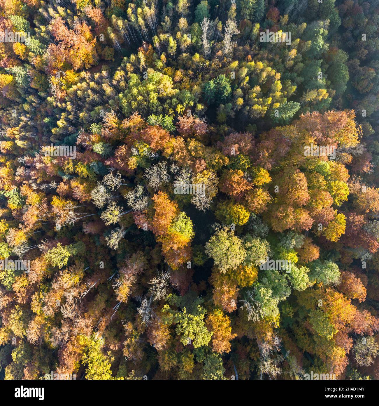 Vertical aerial hi-res stock photography and images - Alamy