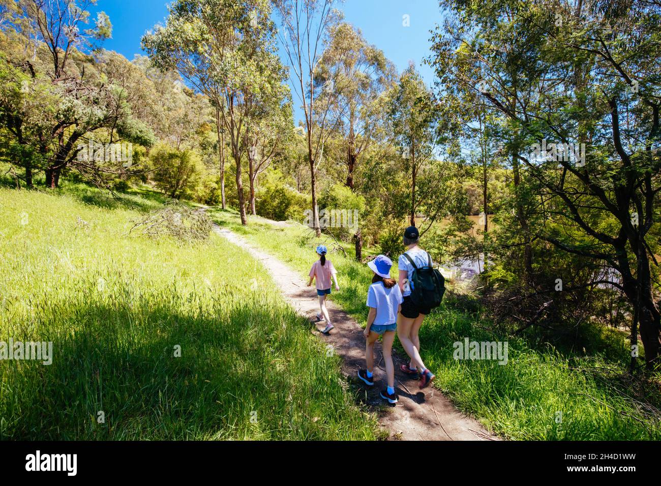 Mount Lofty Circuit Walk in Melbourne Australia Stock Photo - Alamy