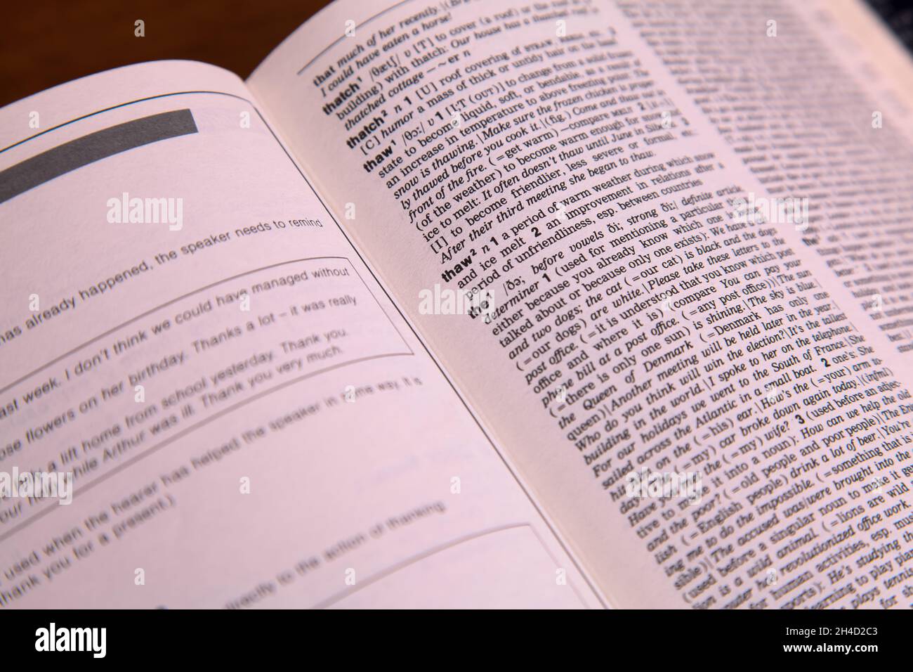 Longman Dictionary open page letter T showing the word THE and other ...