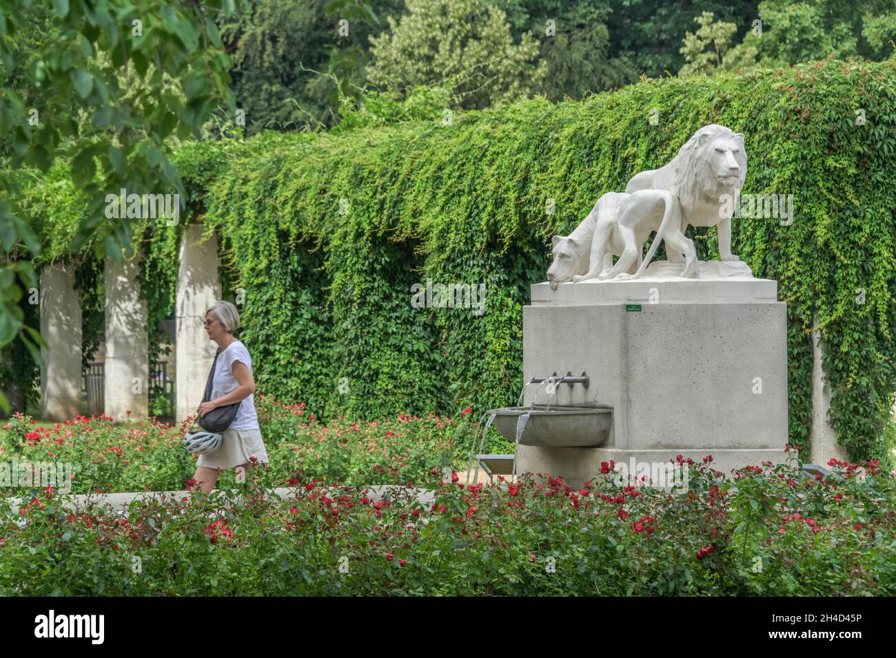 Ostdeutscher rosengarten hi-res stock photography and images - Alamy