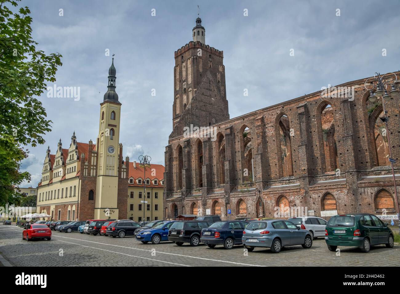 Rathaus gubin hi-res stock photography and images - Alamy