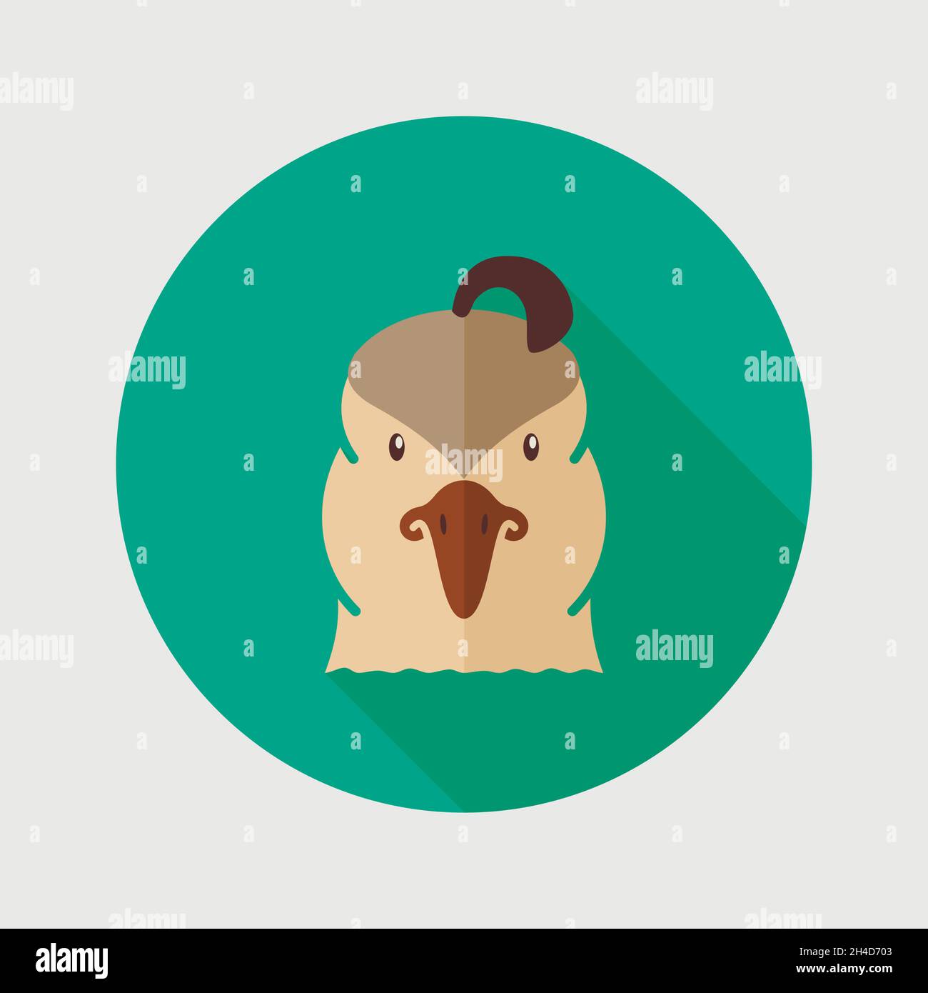 Quail flat icon. Animal head vector symbol eps 10 Stock Vector Image ...