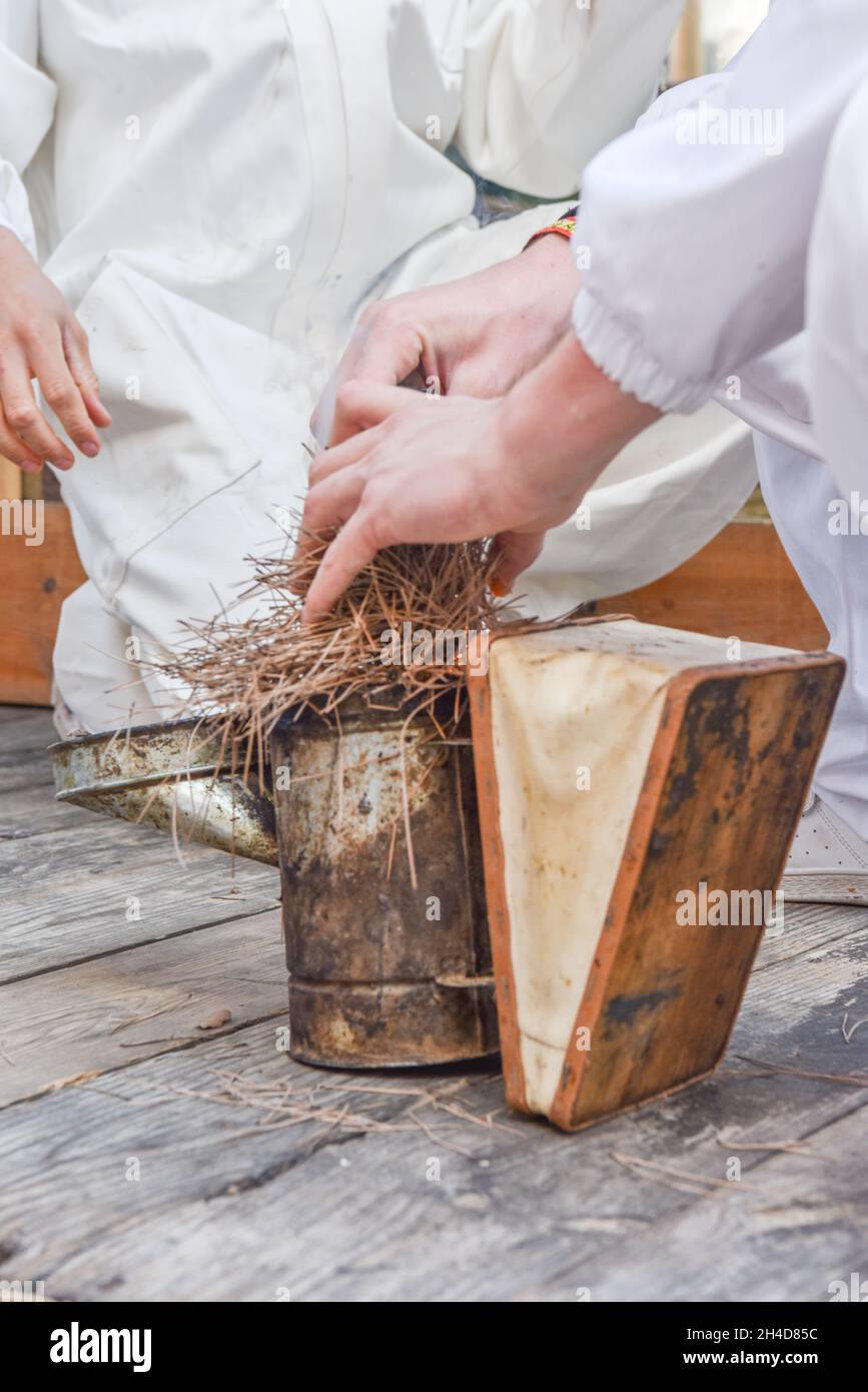 Bee bellows hi-res stock photography and images - Alamy