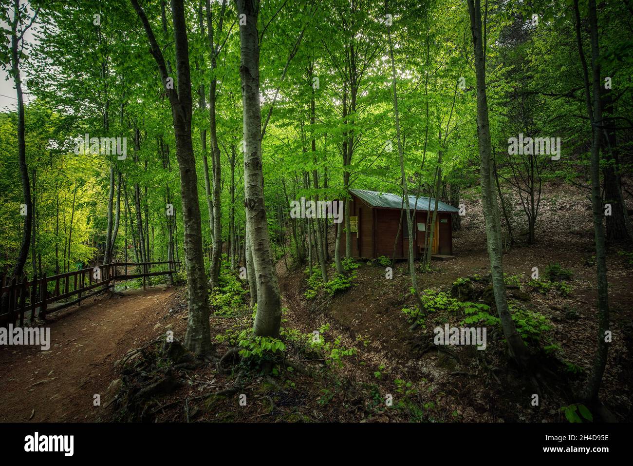 Middle meadow walk hi-res stock photography and images - Alamy