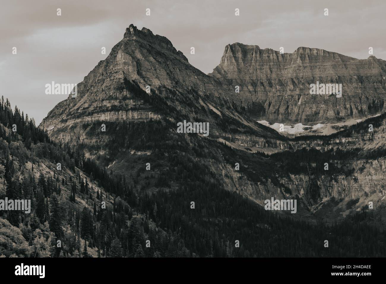 Grayscale shot of cliffs and mountains in Glacier National Park Stock ...