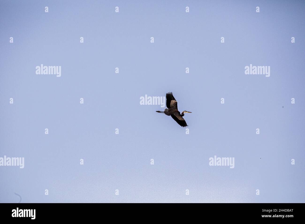 Jan 01 1970 low hi-res stock photography and images - Alamy